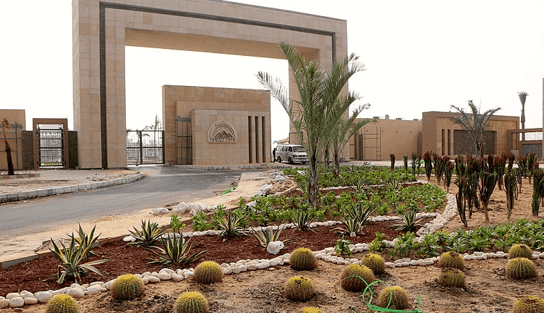 Zewail City of Science, Technology and Innovation.