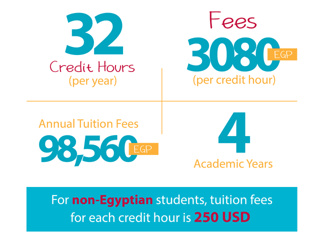 Zewail City of Science, Technology and Innovation.