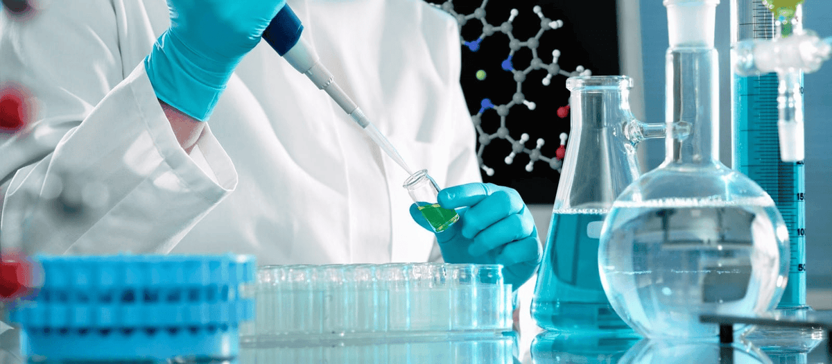 Undergraduate Admission