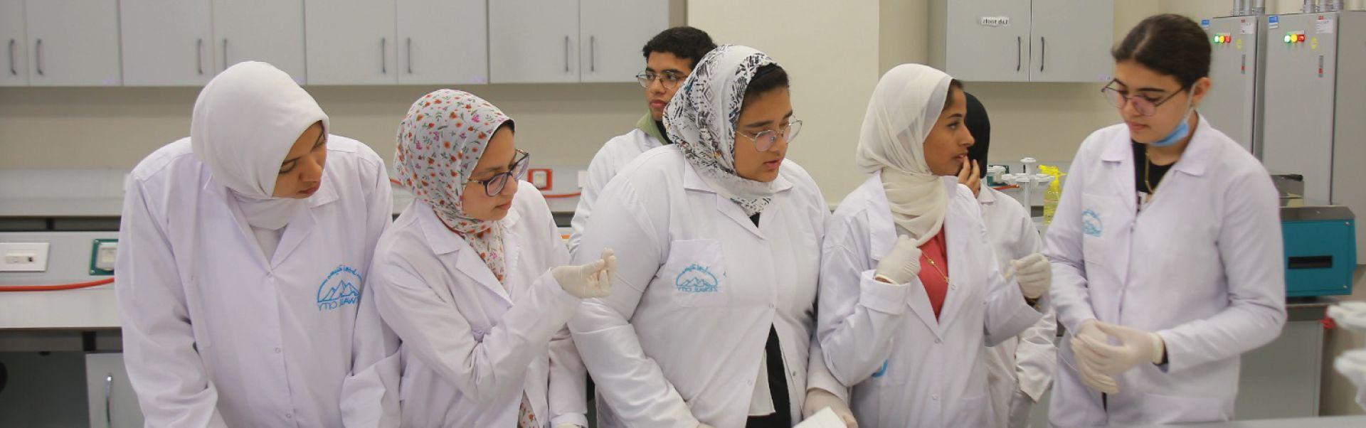 Zewail City of Science, Technology and Innovation.